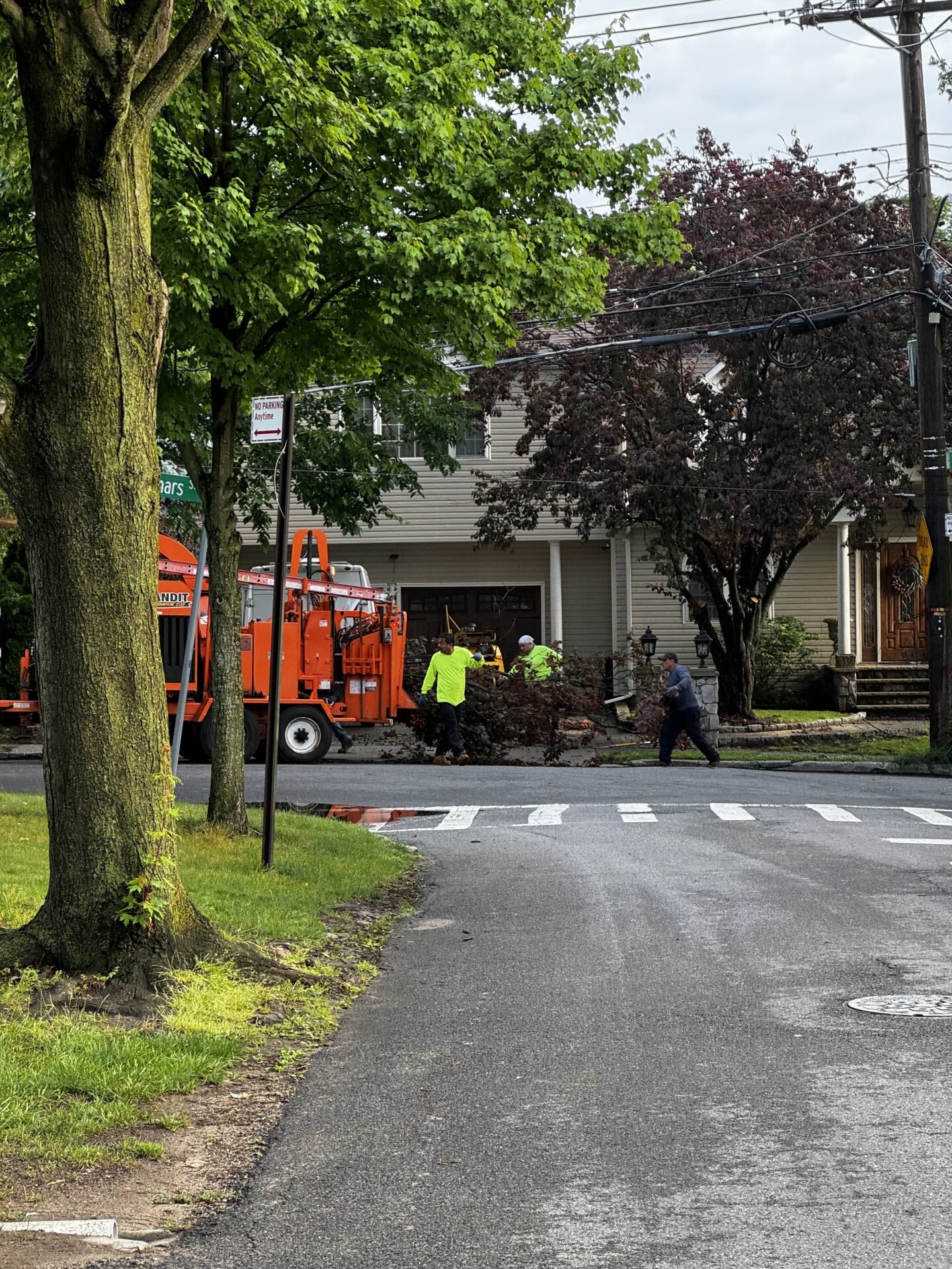 10 Different Types of Tree Removal - Owens Bros Tree Service & Removal